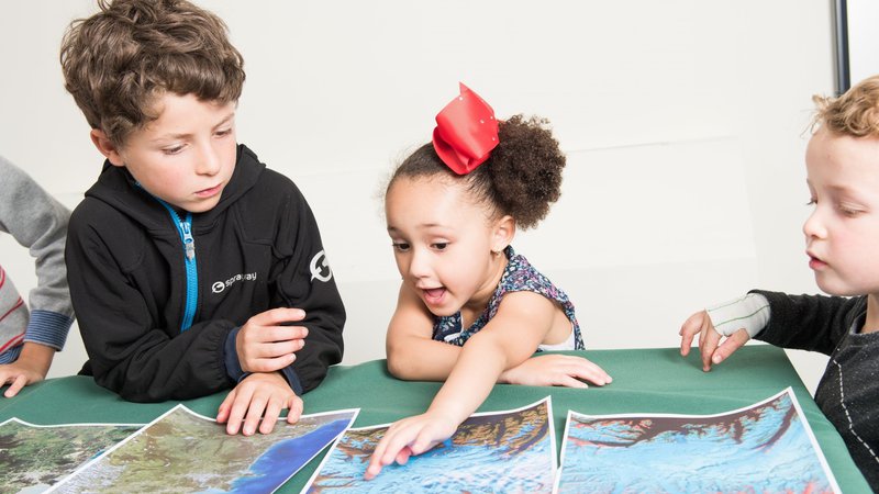 Engagement Passport - Diversity Equity Inclusion and Accessibility in ...